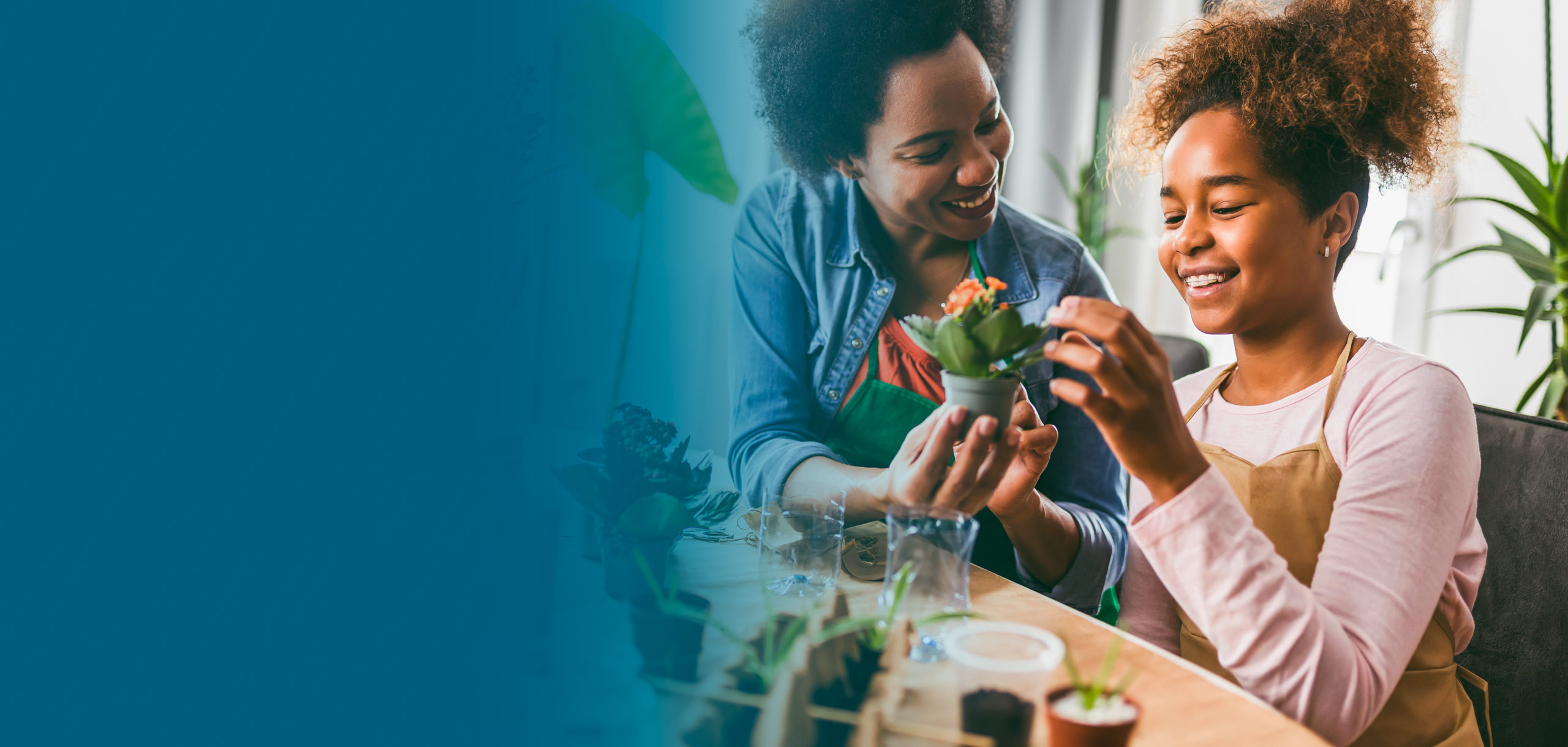 Somerset Federal Credit Union | Focused on You